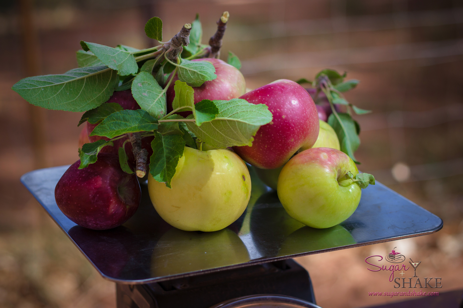 Friday Photo — Fruit in Fruita - Sugar + Shake